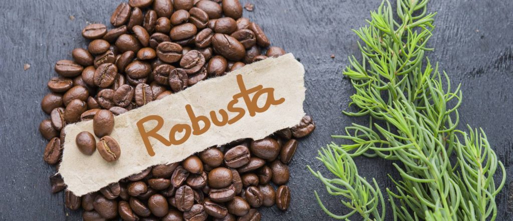 7 Best Robusta Coffee Brands in 2025: Taste Tour