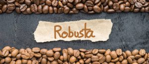 Robusta Coffee Beans Guide: A Deep Dive into Flavor & Origin