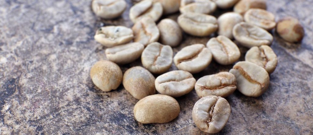 Excelsa Coffee Beans Guide: A Deep Dive into Flavor & Origin
