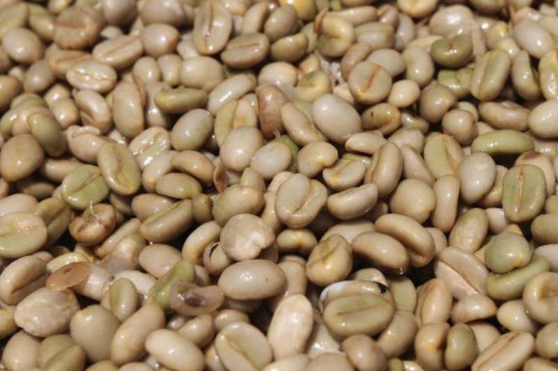 Ultimate Guide: Coffee Regions, Bean Origins & Flavors