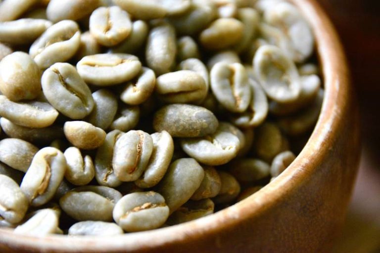 Excelsa Coffee Beans Guide: A Deep Dive into Flavor & Origin