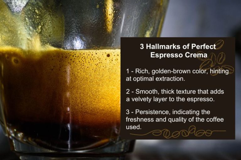 Espresso 101: Basics, Tips & Crafting The Perfect Cup