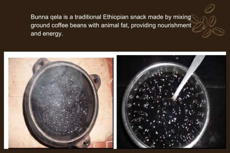 History of Coffee: From Ancient Ethiopia to Today