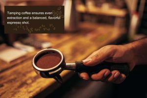 How To Perfectly Tamp Espresso (Step-By-Step Guide)