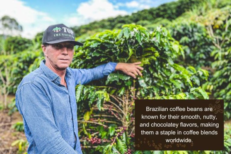 Top 10 Coffee Producing Countries Worldwide in 2025