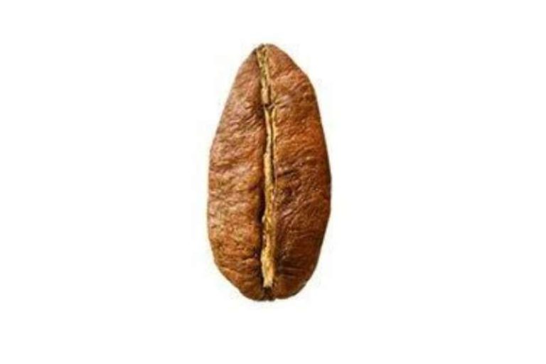 Ultimate Guide to Types Of Coffee Beans