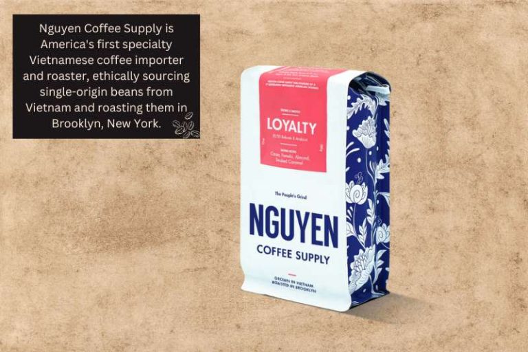 How To Make Vietnamese Iced Coffee (Quick & Easy Recipe)