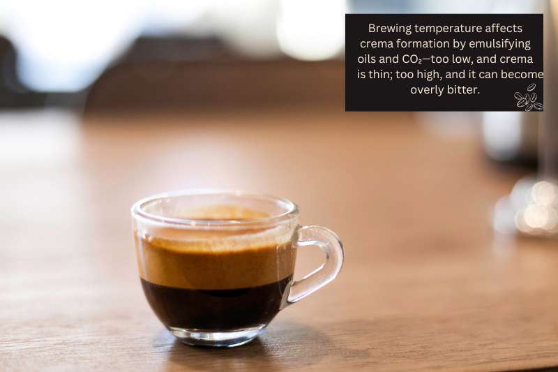 What’s The Right Brewing Temperature for Espresso?