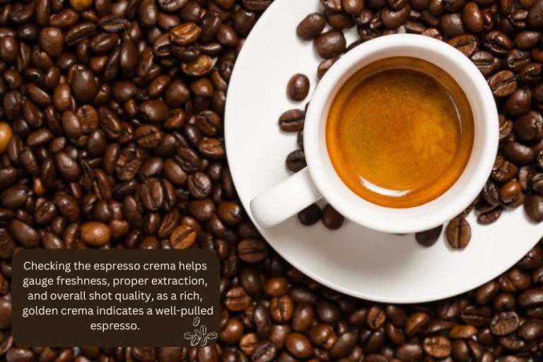 How Many Ounces in a Shot of Espresso? A Complete Guide