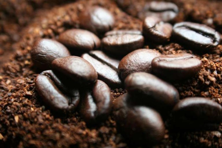 How to Make a French Café Crème (Easy Recipe)