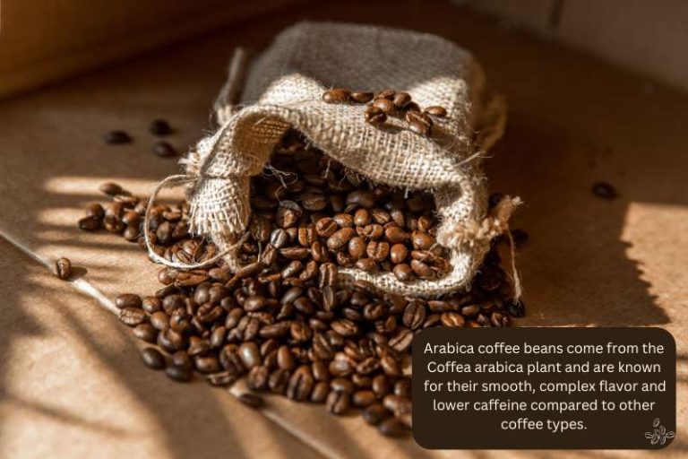Arabica Coffee 101: Flavor, Origins, Brewing and More