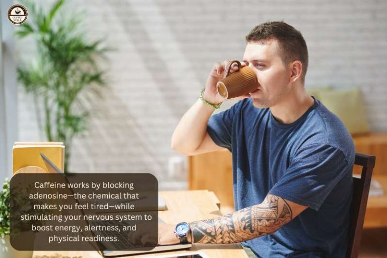 Caffeine and Exercise: What the Science Actually Says?